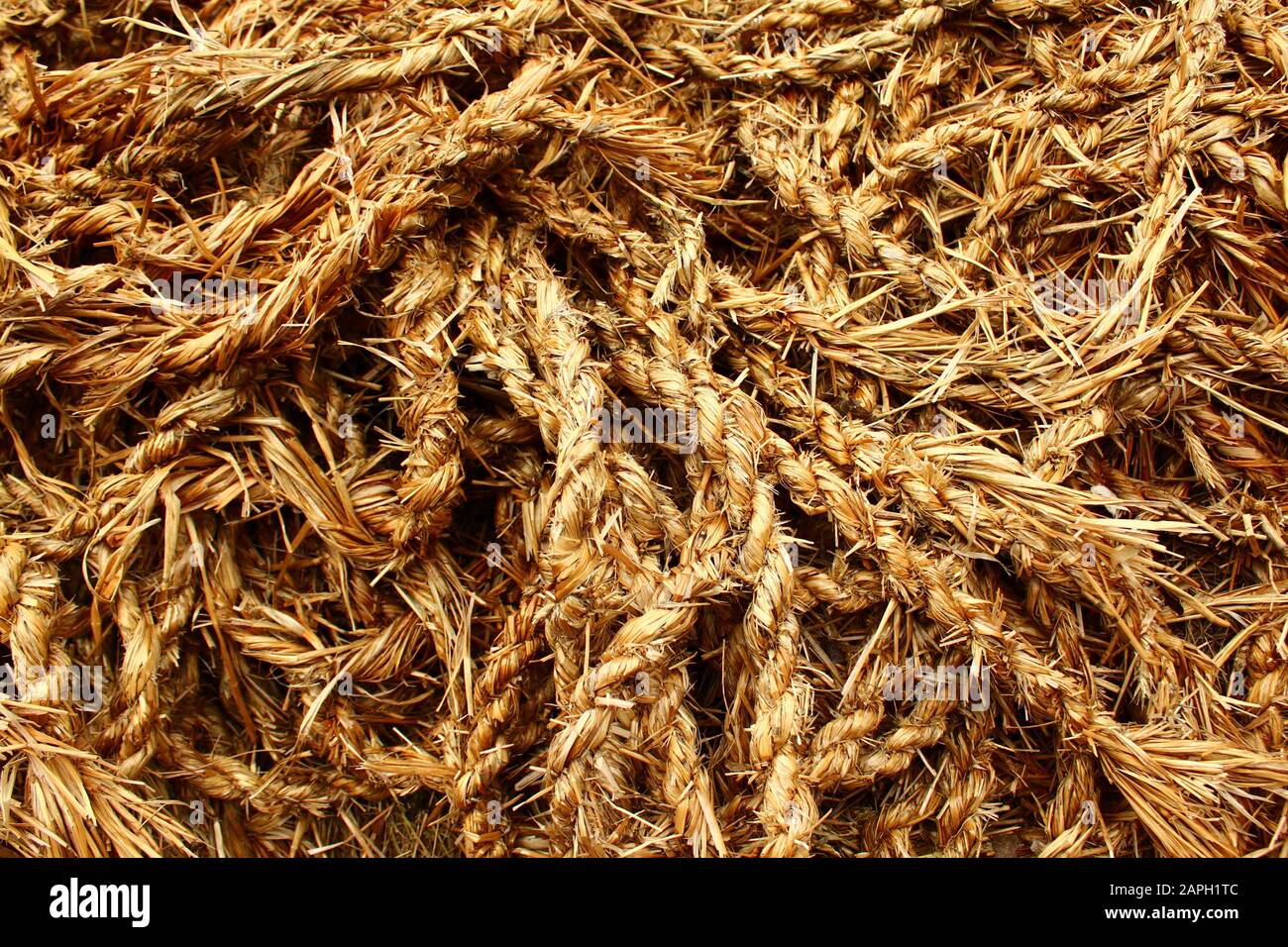 The picture shows ropes made of straw Stock Photo - Alamy