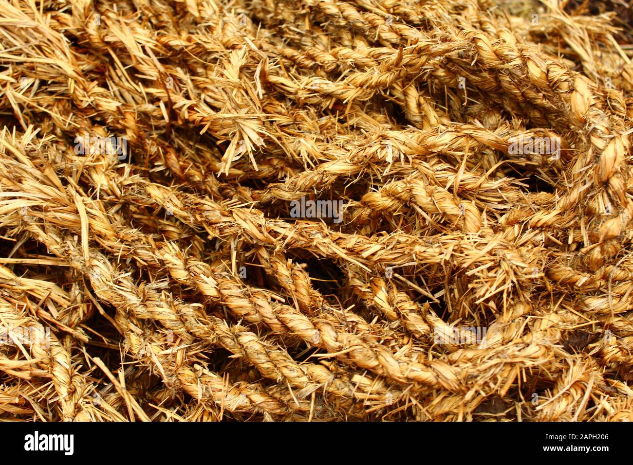 The picture shows ropes made of straw Stock Photo - Alamy