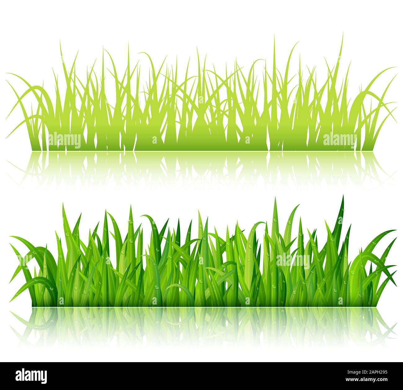 Meadow grass vector vectors hi-res stock photography and images - Alamy
