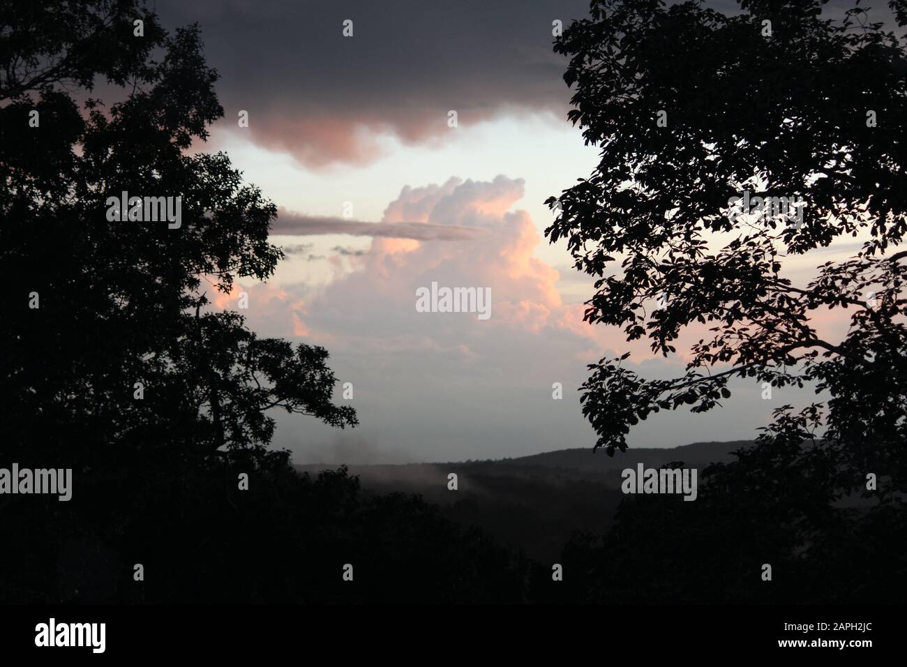 Clouds and mist between a silhouette of trees Stock Photo - Alamy