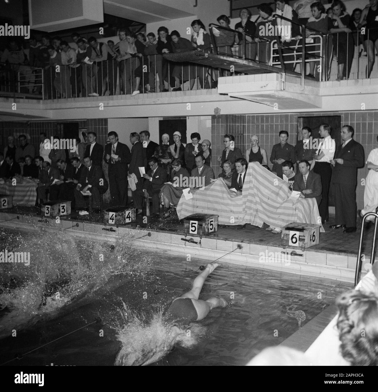 Swimming pool audience Black and White Stock Photos & Images - Alamy