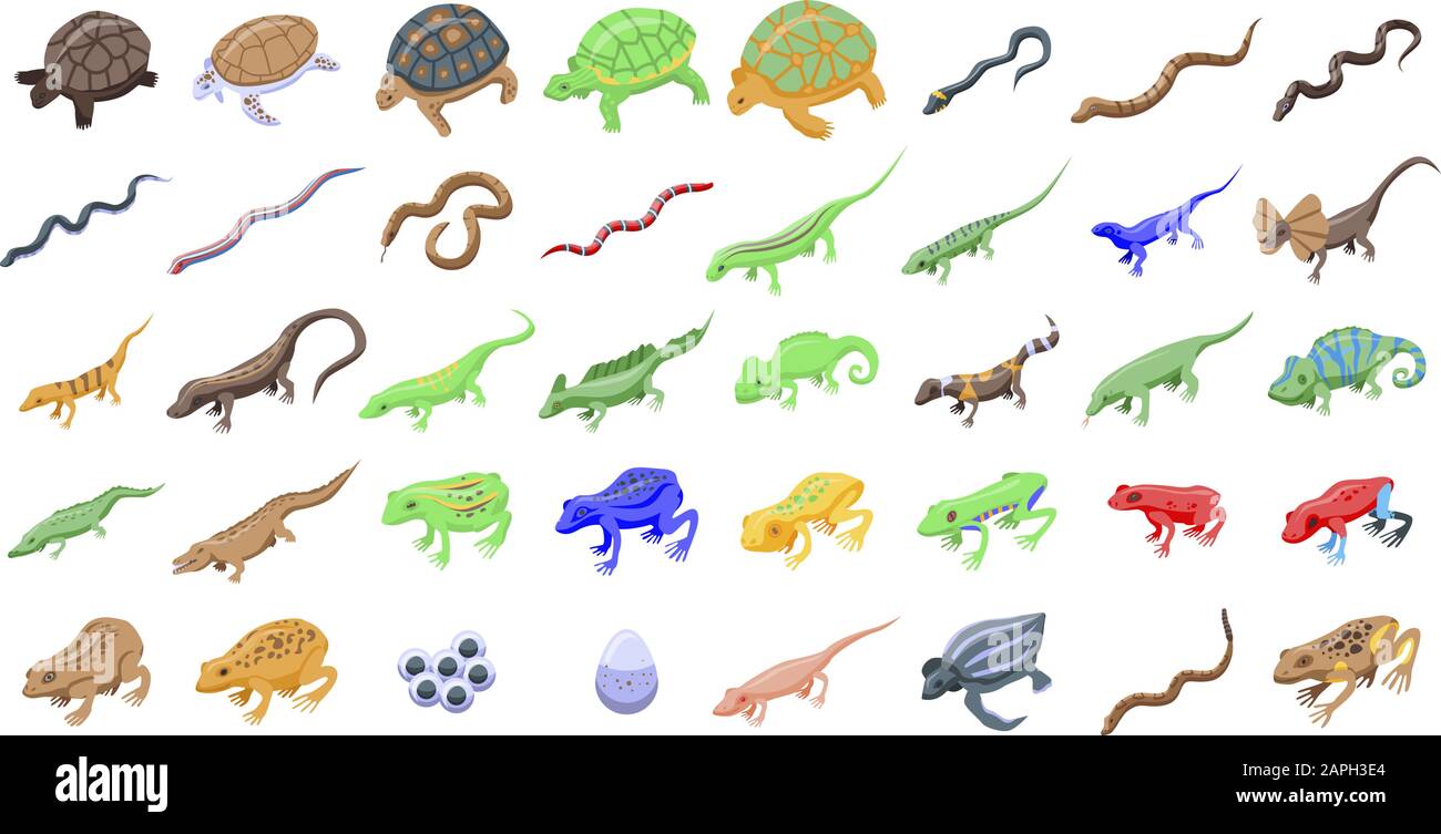 Reptiles and amphibians icons set, isometric style Stock Vector Image ...