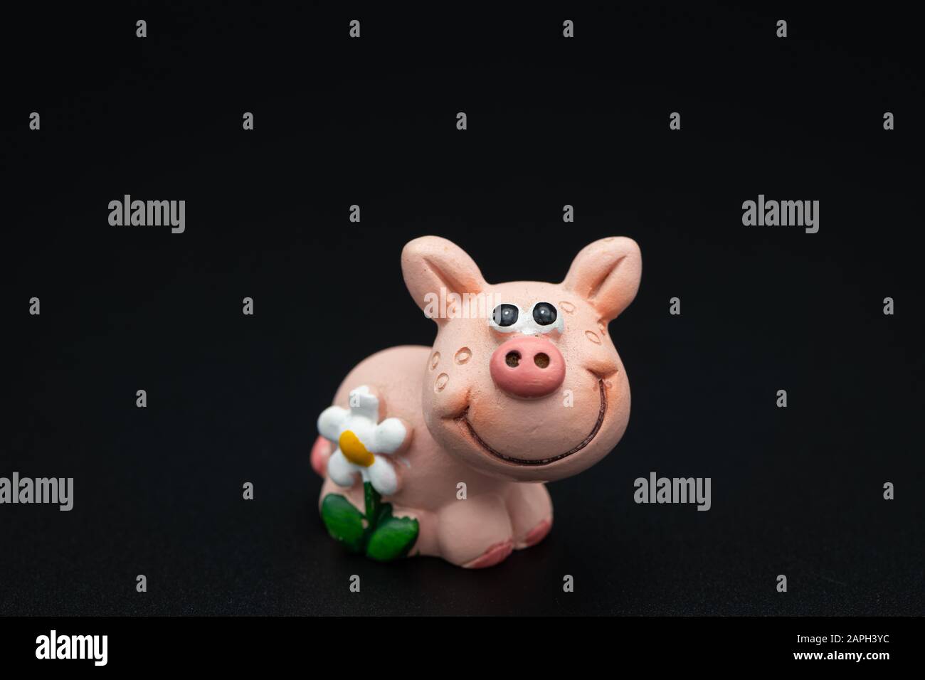 Figurine of a small piggy with a white flower, black background Stock ...