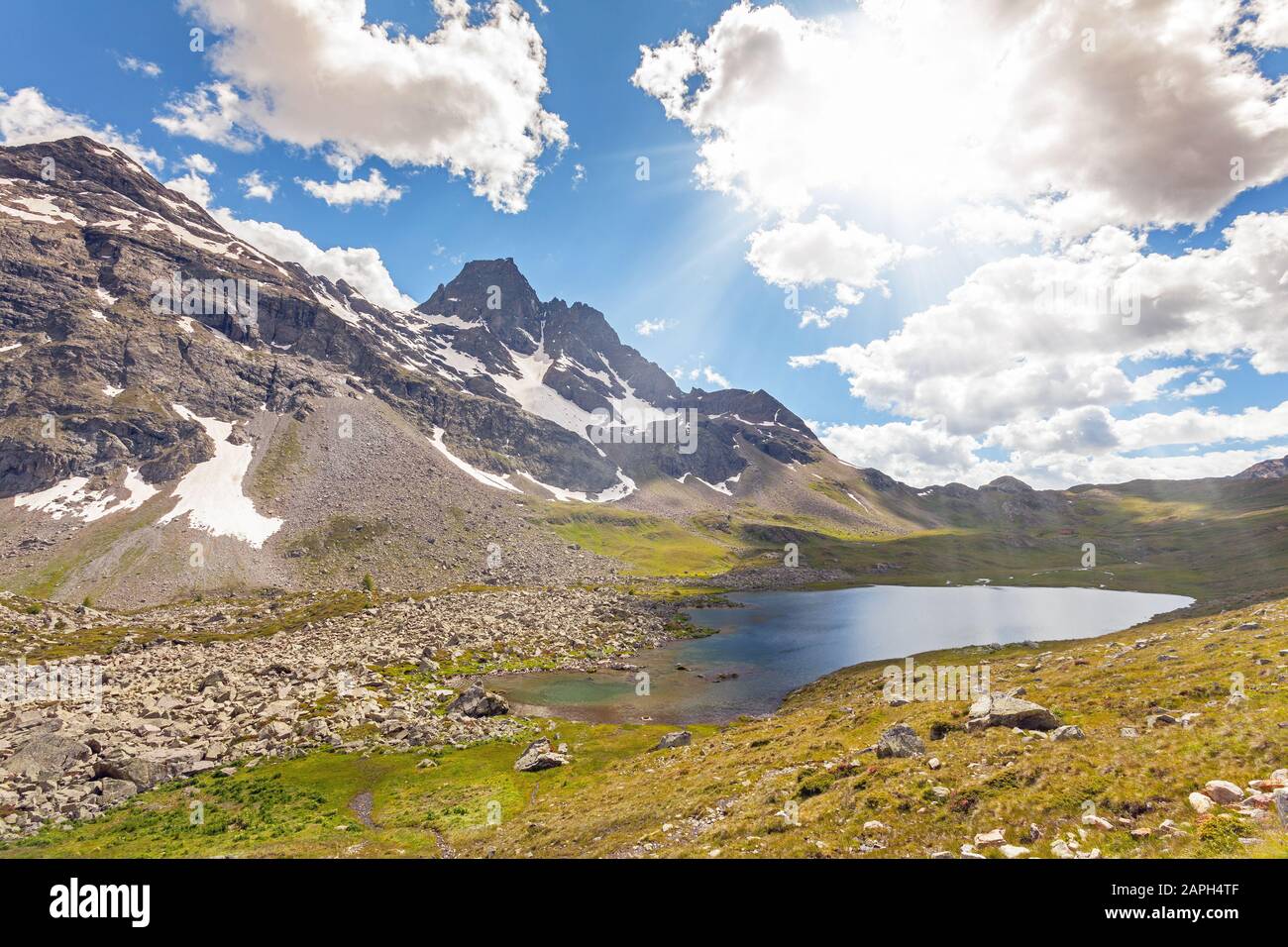 Alpine Marsh Violet High Resolution Stock Photography and Images - Alamy