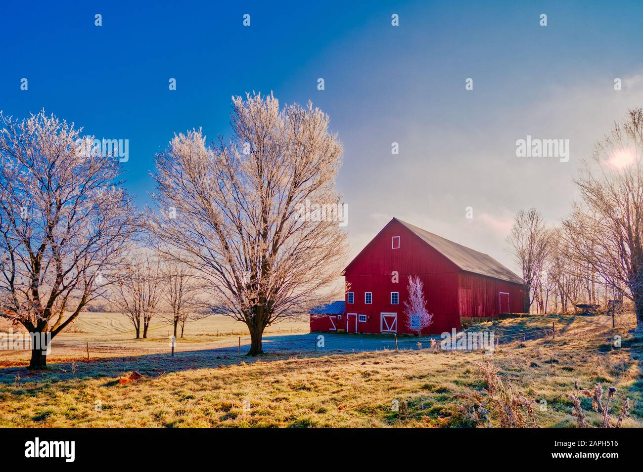 Red country barn on a frosty New England morning in Stowe Vermont USA ...