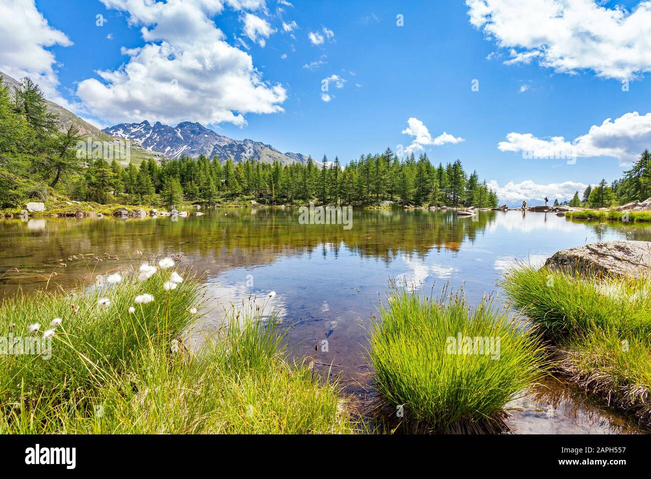 Grosina valley hi-res stock photography and images - Alamy