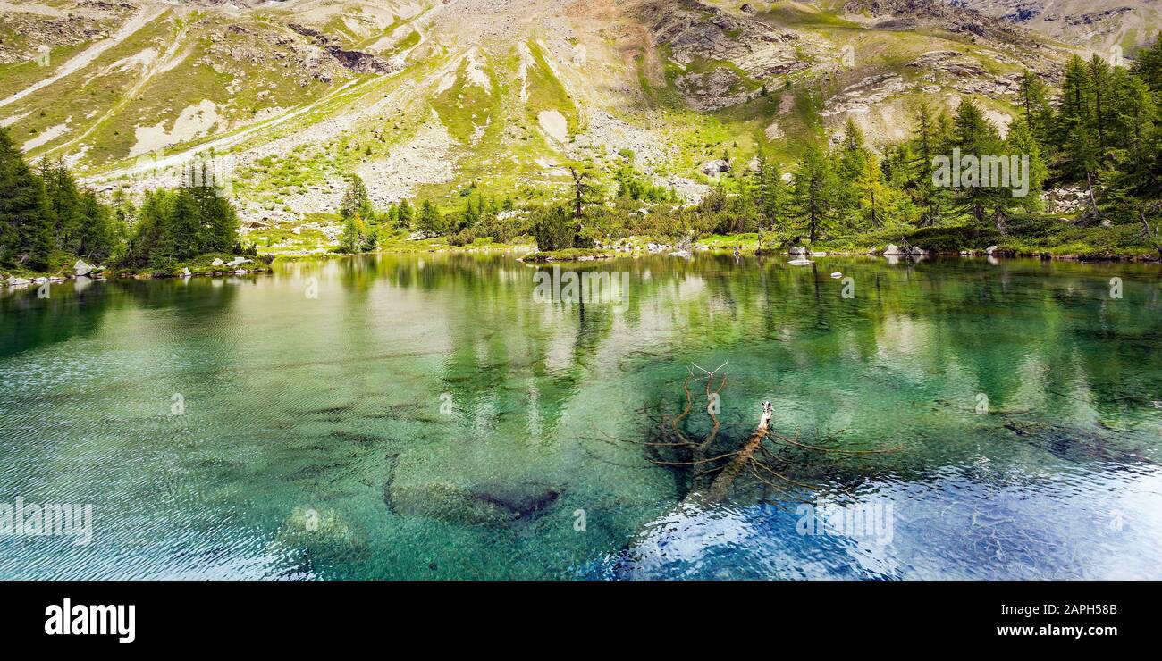 Verva hi-res stock photography and images - Alamy