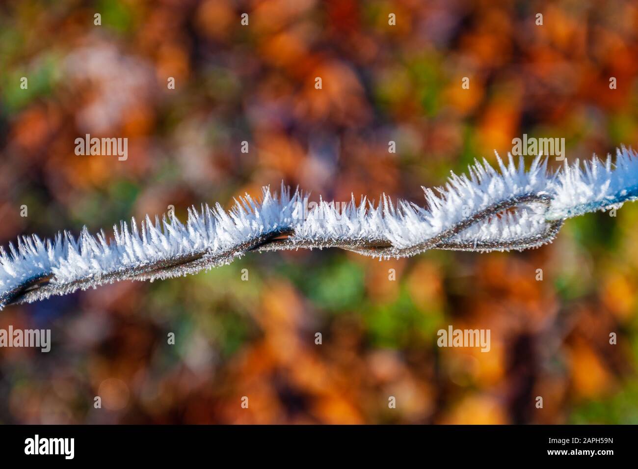Frost covered wire fence in Stowe Vermont USA Stock Photo - Alamy