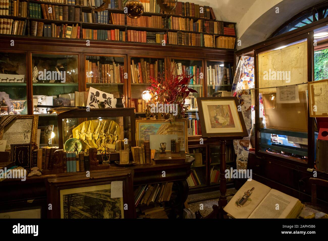 Book store interior hi-res stock photography and images - Alamy
