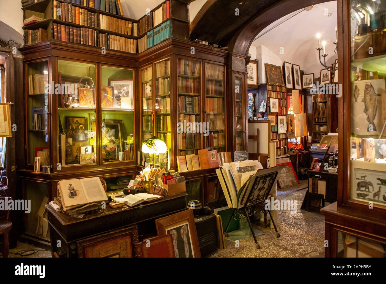 Interior of Cascianelli antique book store in Rome, Italy Stock Photo ...