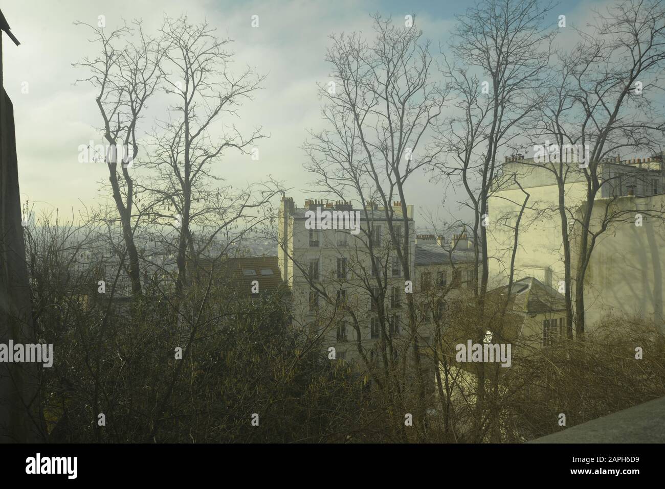 Stark winter trees in paris hi-res stock photography and images - Alamy