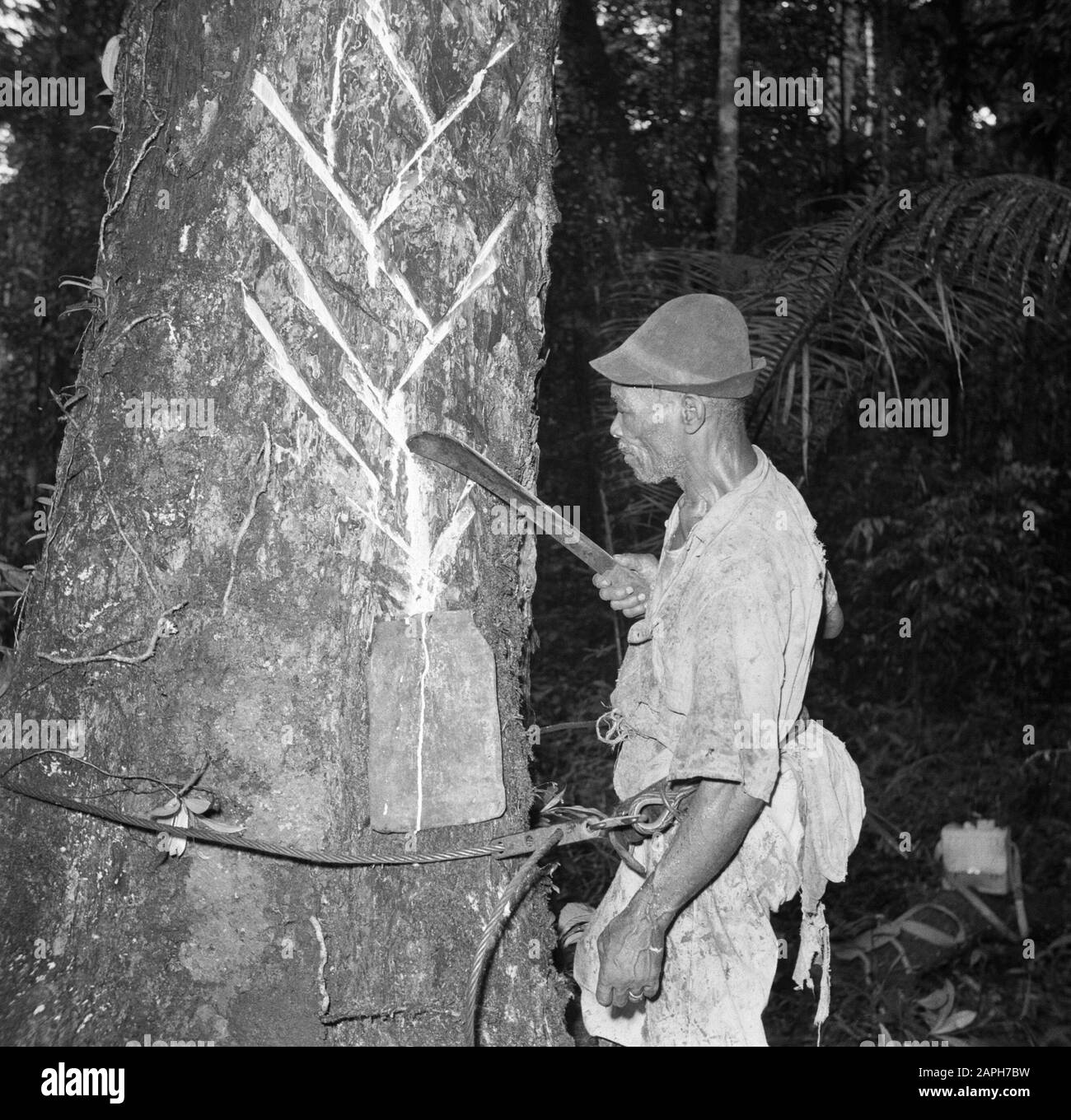 Bleeder Black and White Stock Photos & Images - Alamy