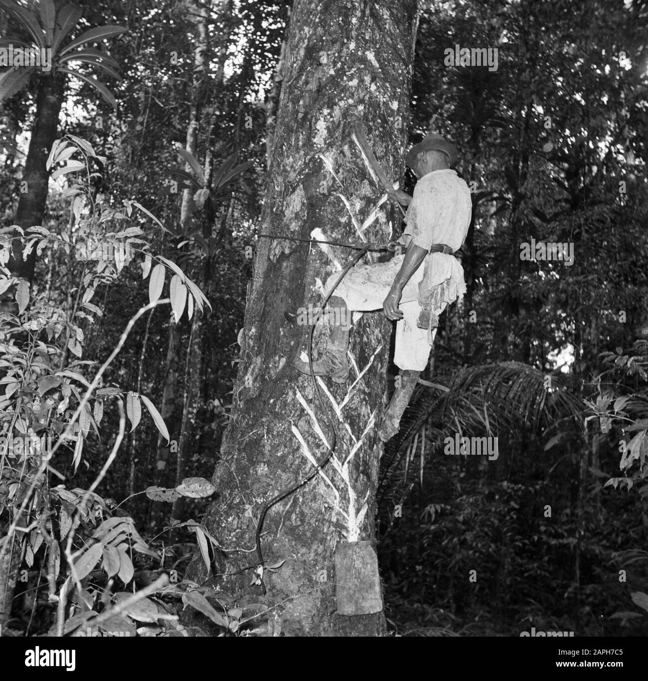 Bleeder Black and White Stock Photos & Images - Alamy