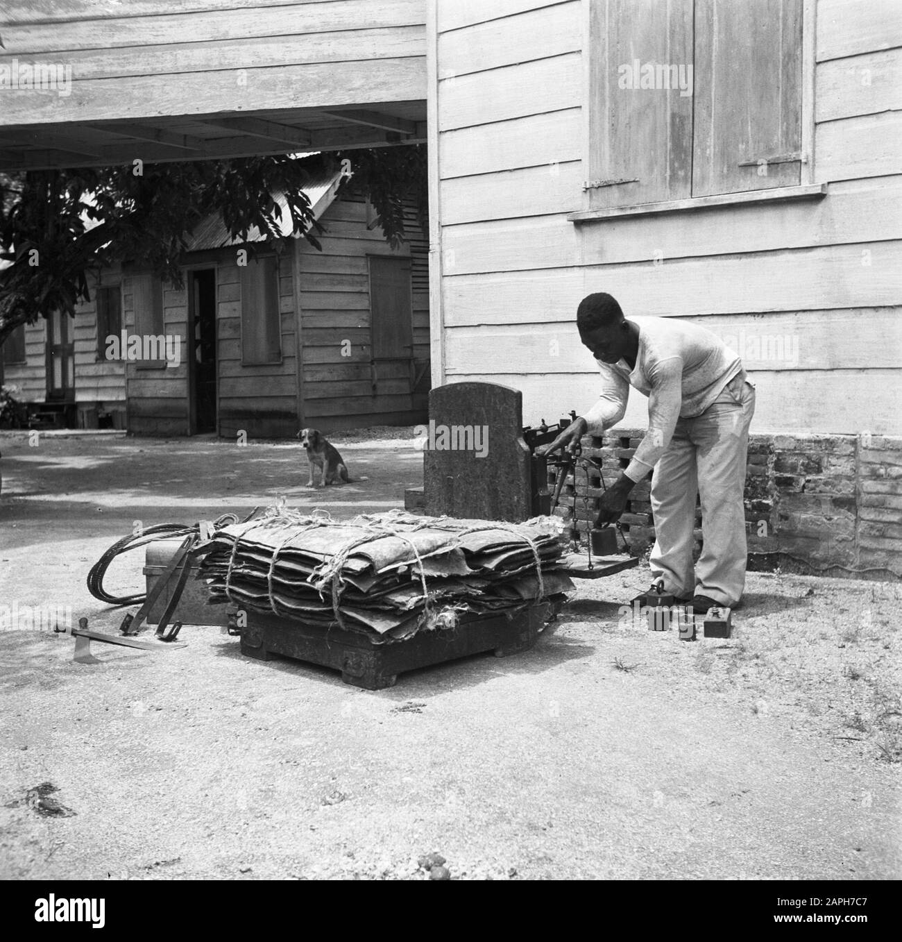 Bleeder Black and White Stock Photos & Images - Alamy