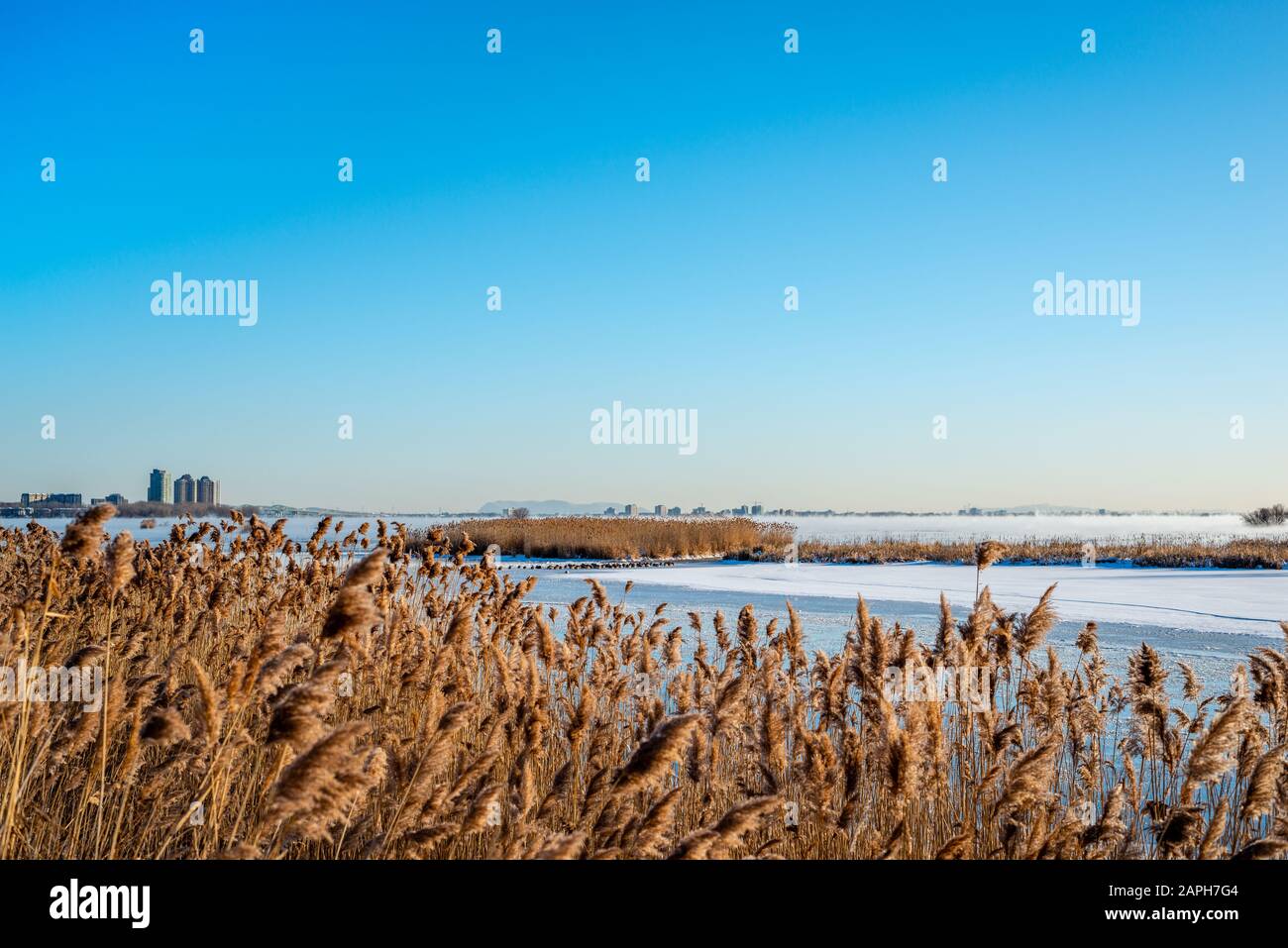 Lachine rapids park hi-res stock photography and images - Alamy