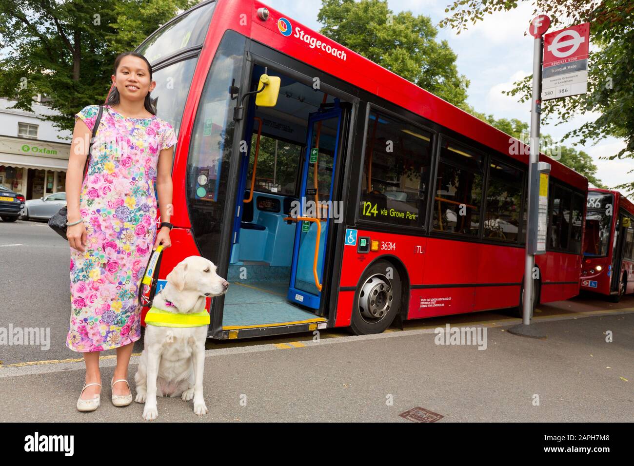 Partially sighted woman with a guide dog standing beside a red London ...