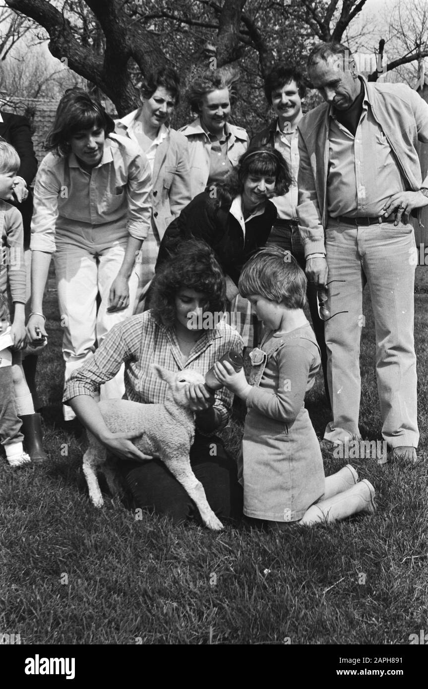 Glass in greenhouse Black and White Stock Photos & Images - Alamy