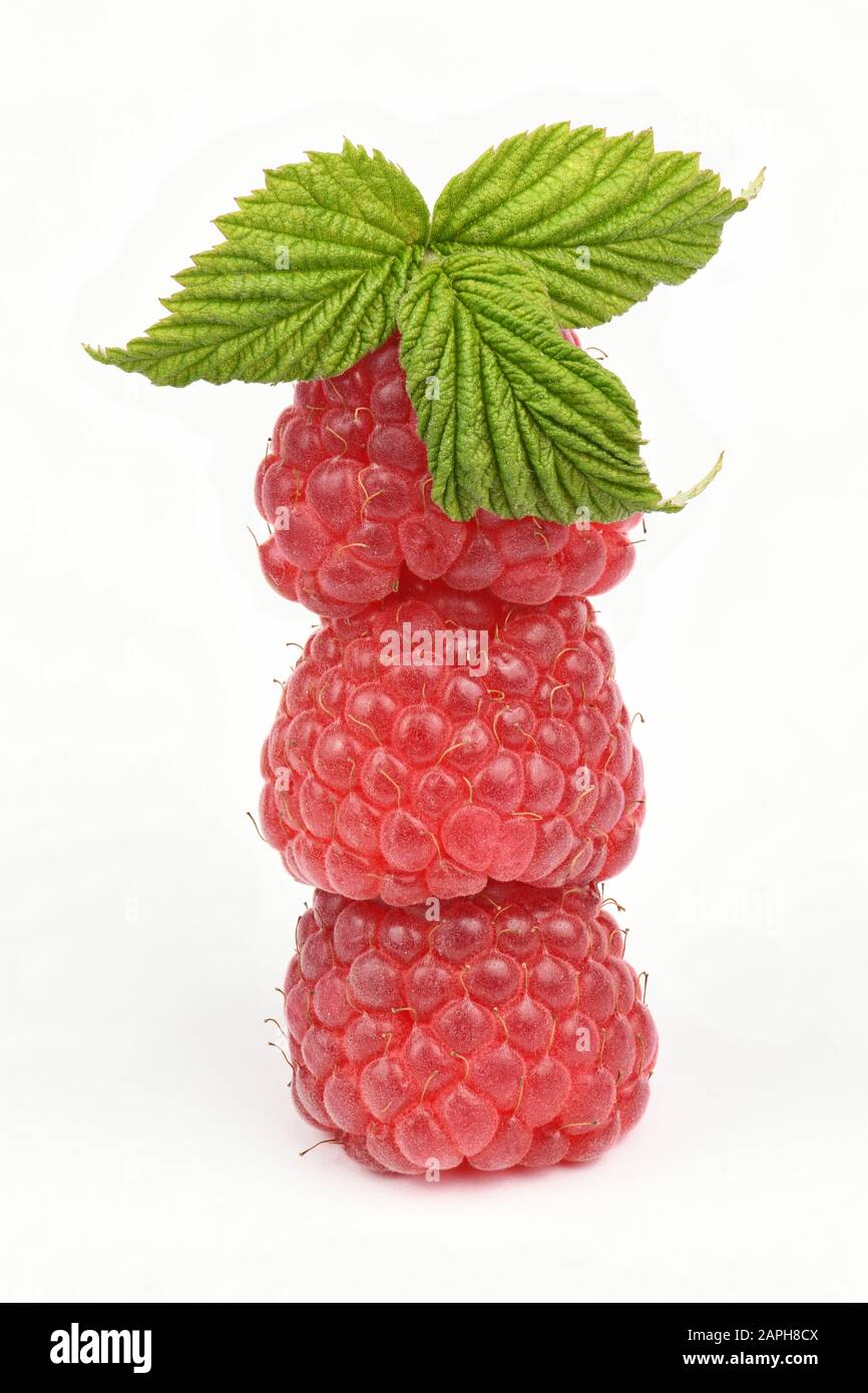 Three red raspberry berries isolated on white background. High ...