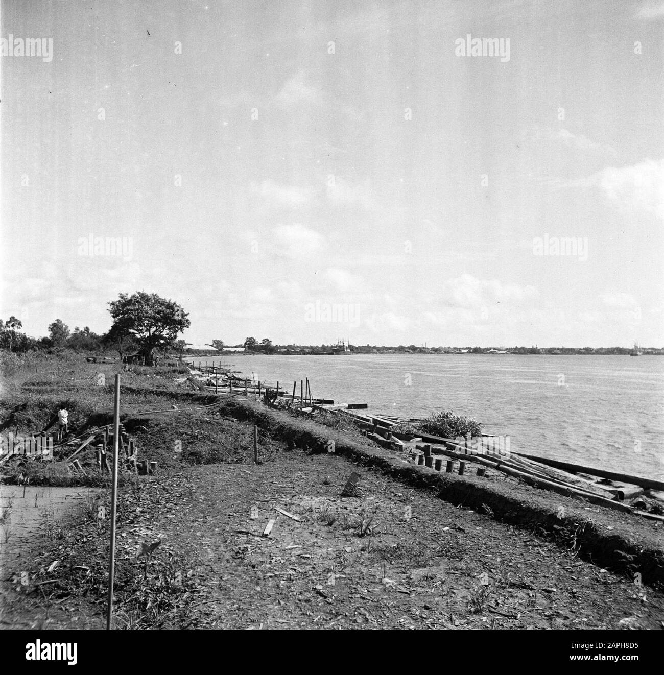 Journey to Suriname and the Netherlands Antilles Description ...