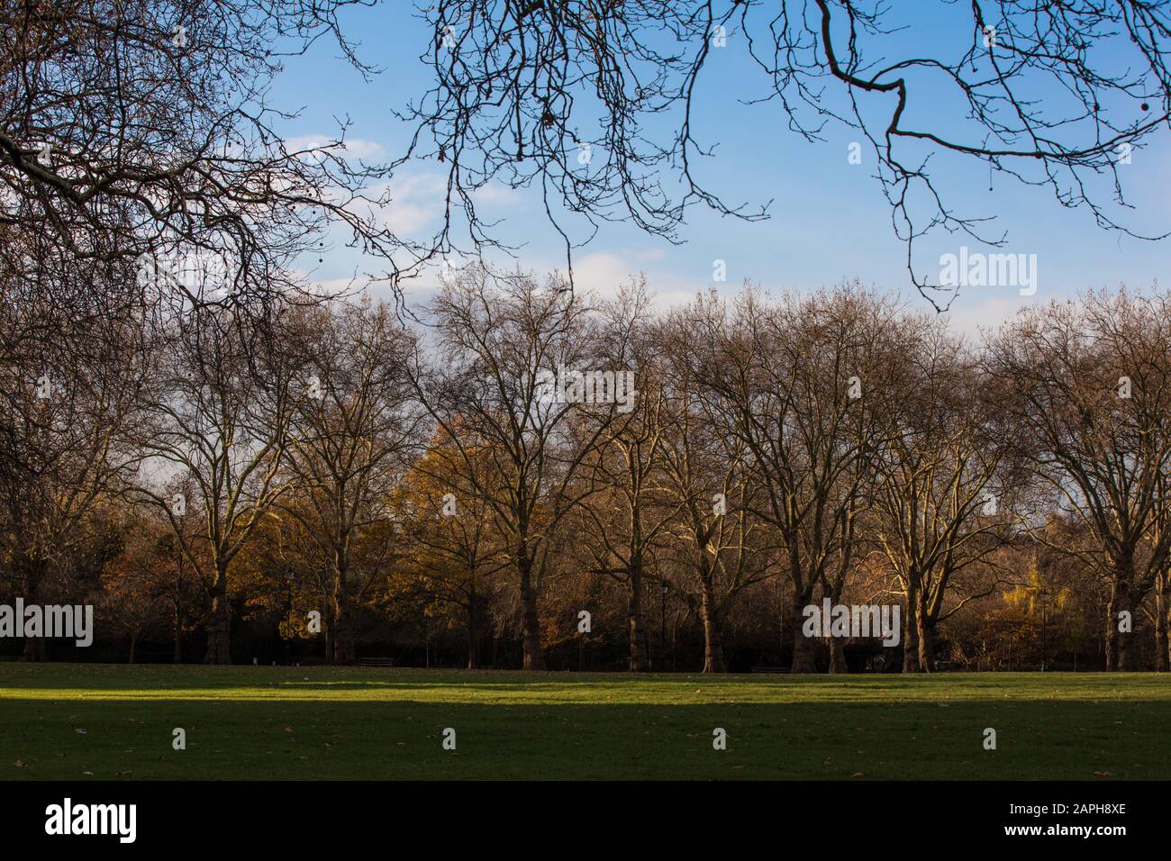 Highbury Fields, North London Stock Photo - Alamy