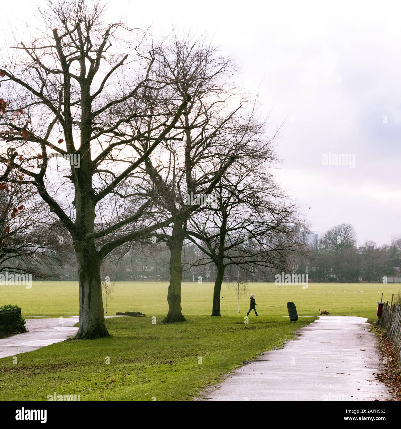Gunnersbury park hi-res stock photography and images - Alamy