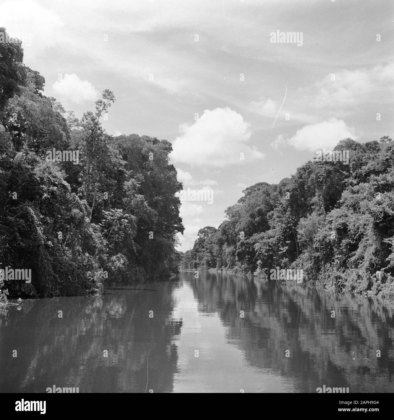 Travel to Suriname and the Netherlands Antilles Description: The ...