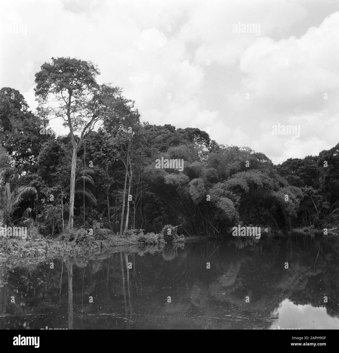 Coppename expedition hi-res stock photography and images - Alamy