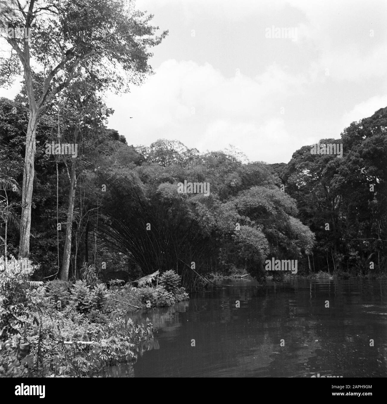 Travel to Suriname and the Netherlands Antilles Description: The ...