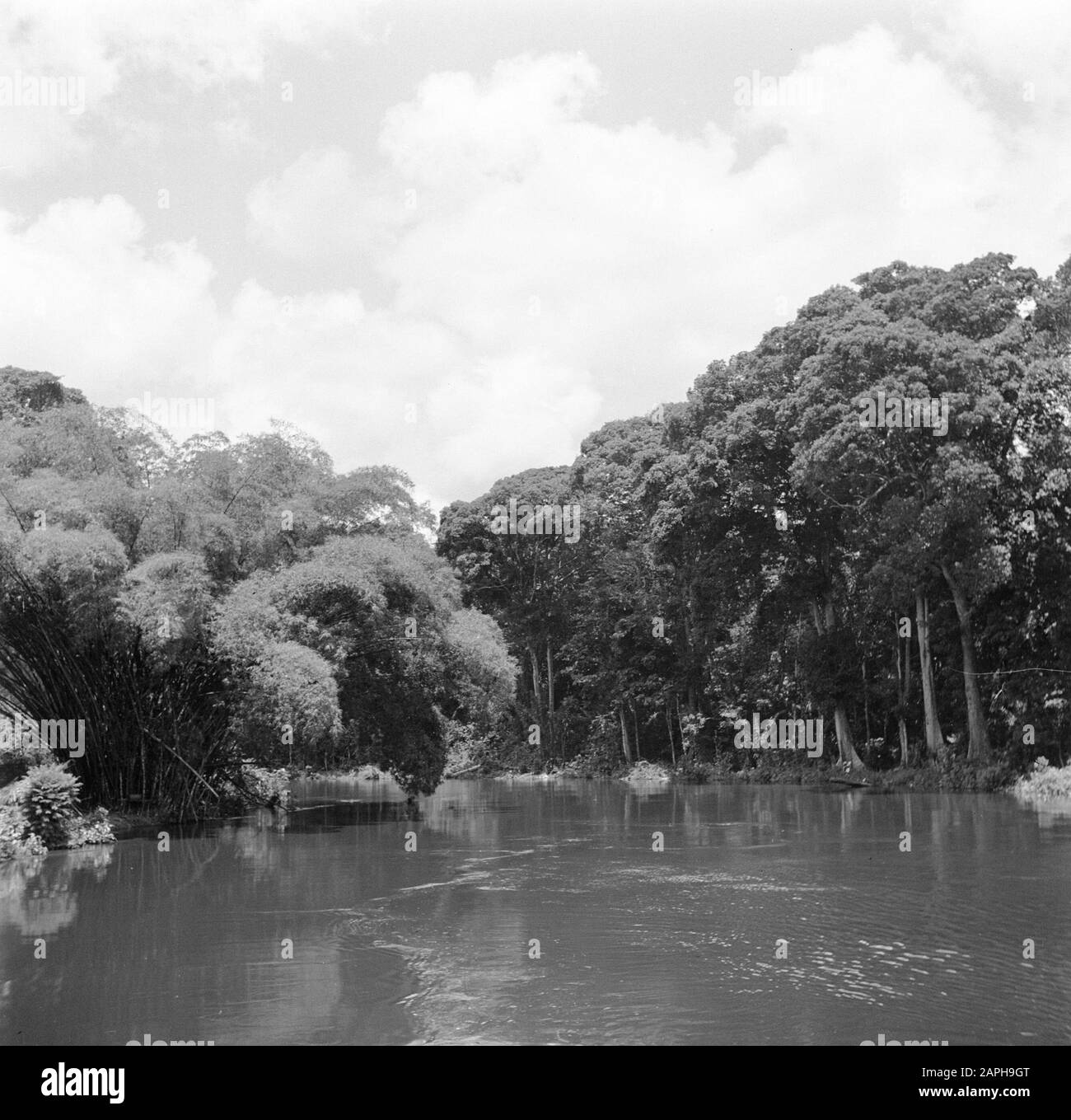 Journey to Suriname and the Netherlands Antilles Description: The ...