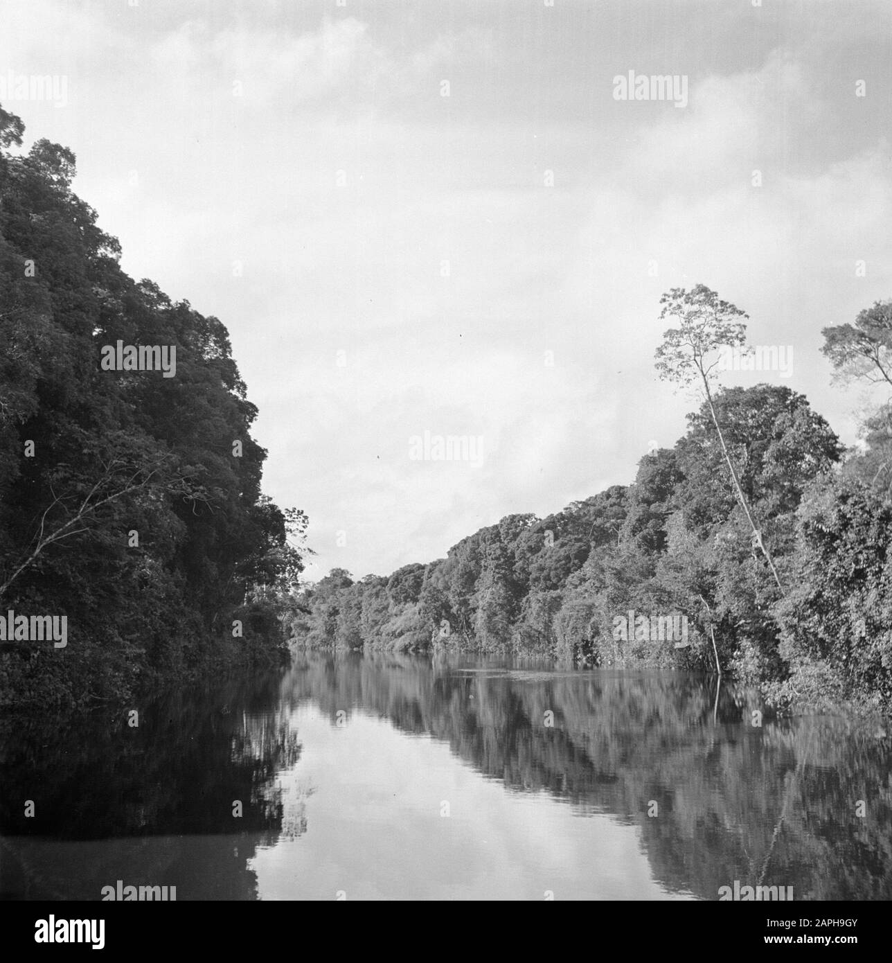 Journey to Suriname and the Netherlands Antilles Description: The ...