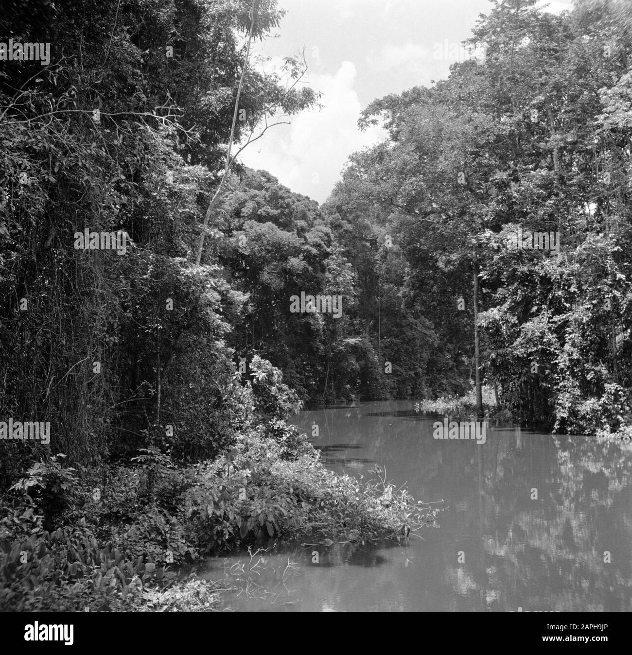 Travel to Suriname and the Netherlands Antilles Description: The ...