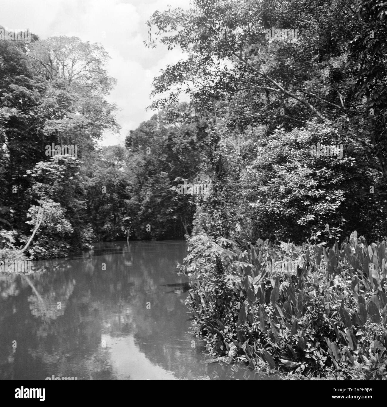 Journey to Suriname and the Netherlands Antilles Description: The ...