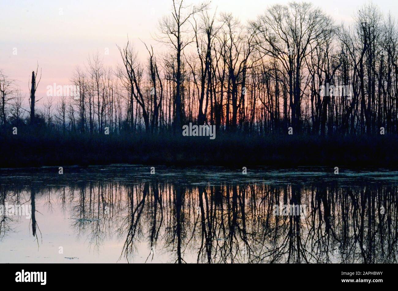 Beautiful morning sunrise through trees hi-res stock photography and ...