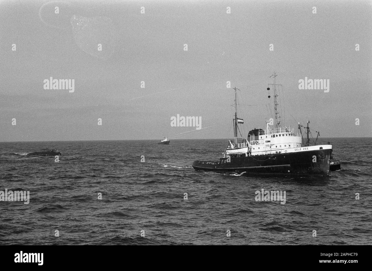 The Yellow Sea with tilted ship Thuntank 7 as drag the Nieuwe Waterweg ...