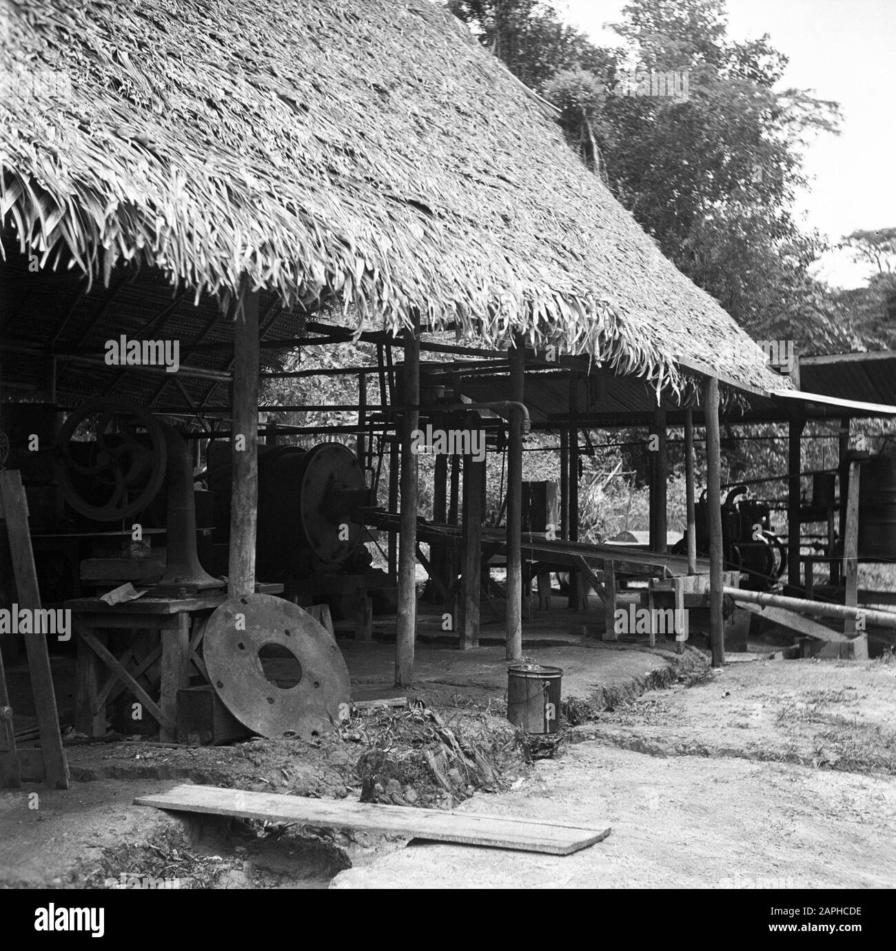 Journey to Suriname and the Netherlands Antilles Description: The gold ...