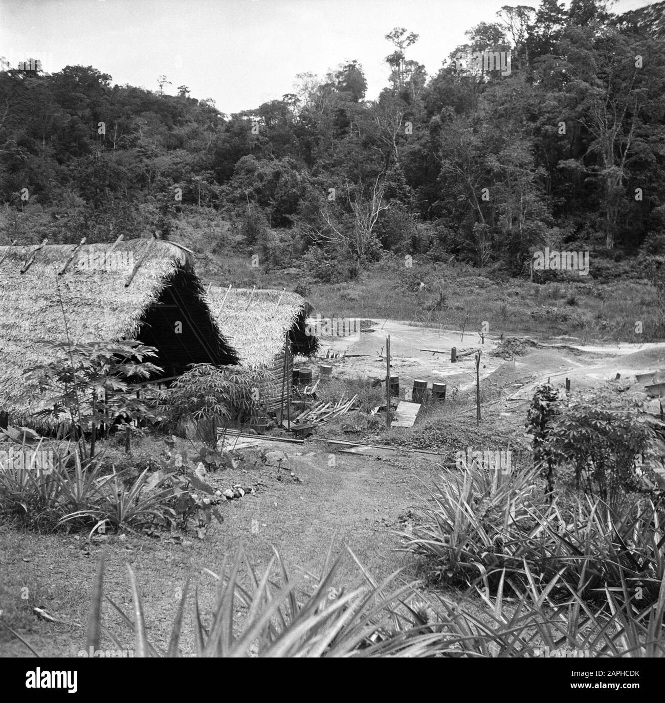 Journey to Suriname and the Netherlands Antilles Description: The gold ...