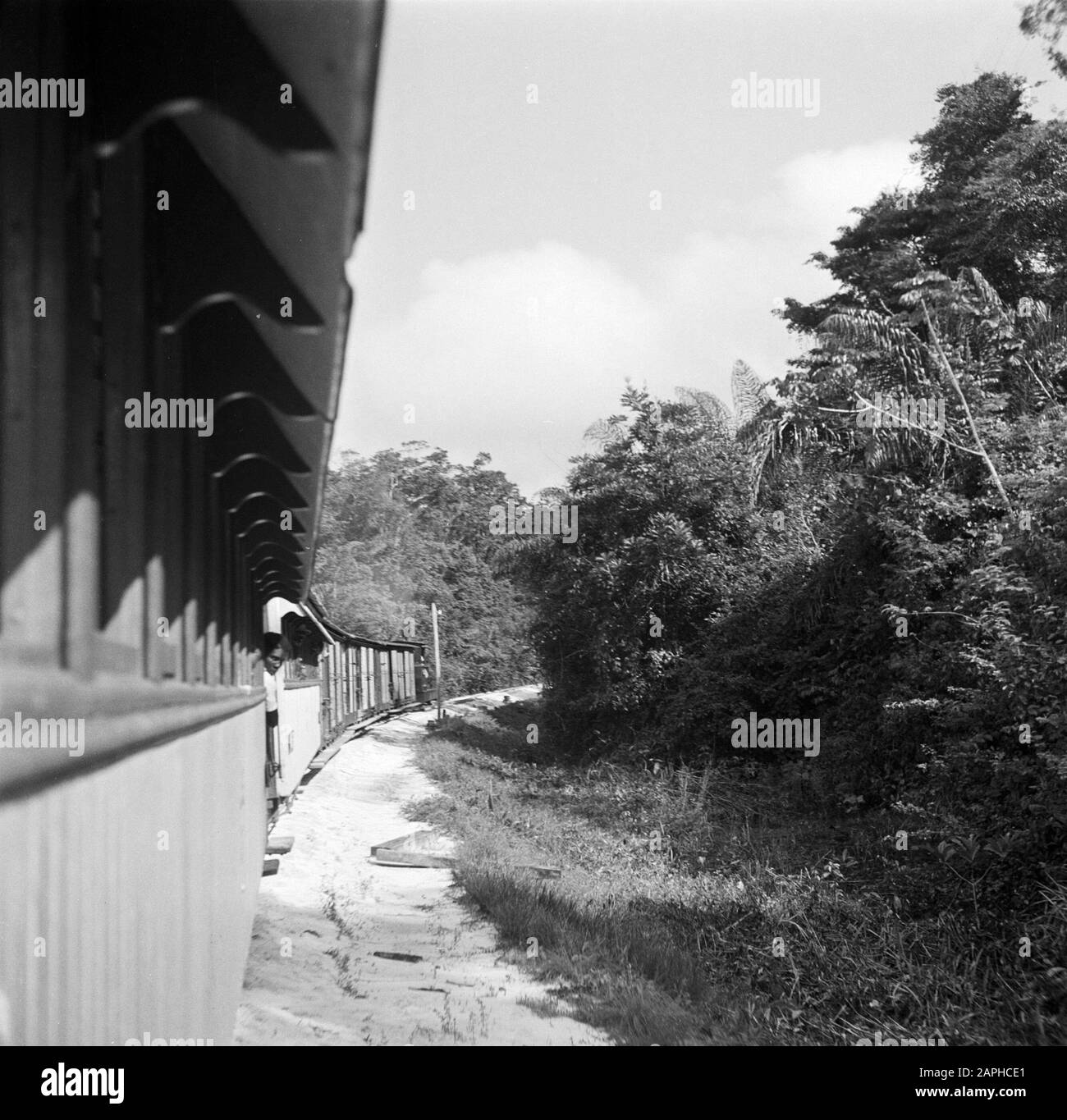 Travel to Suriname and the Netherlands Antilles Description: The ...