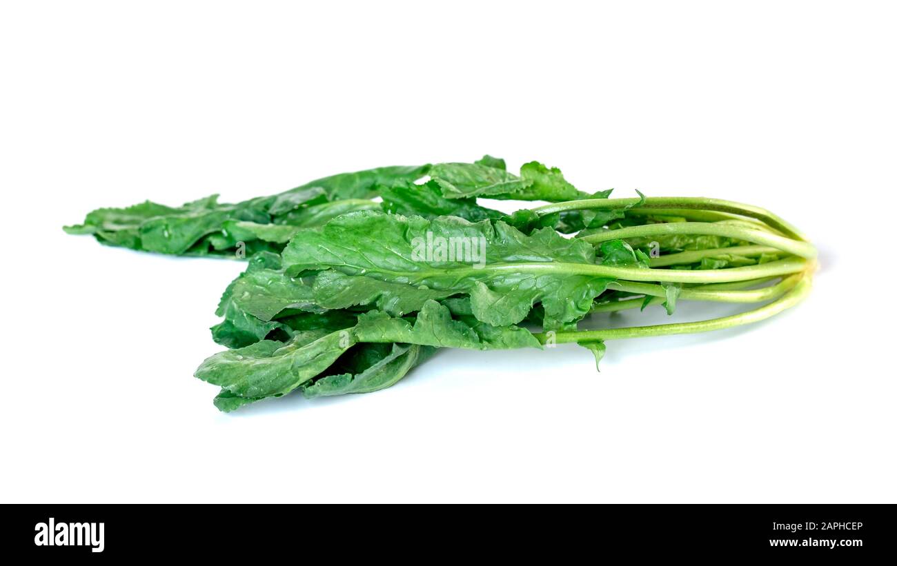 Living cress isolated on white background, vegetable Stock Photo - Alamy