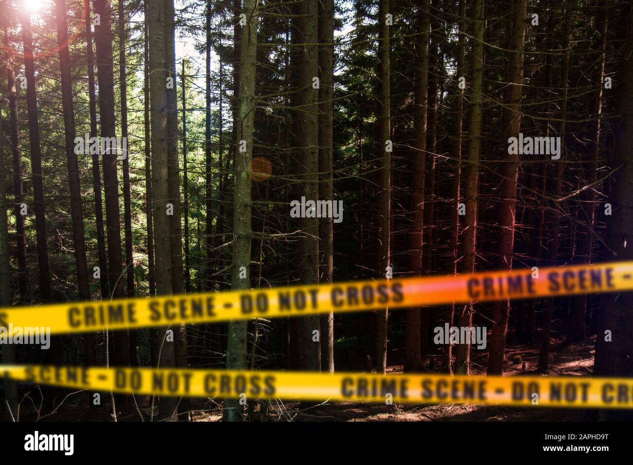 Environment crime scene hi-res stock photography and images - Alamy