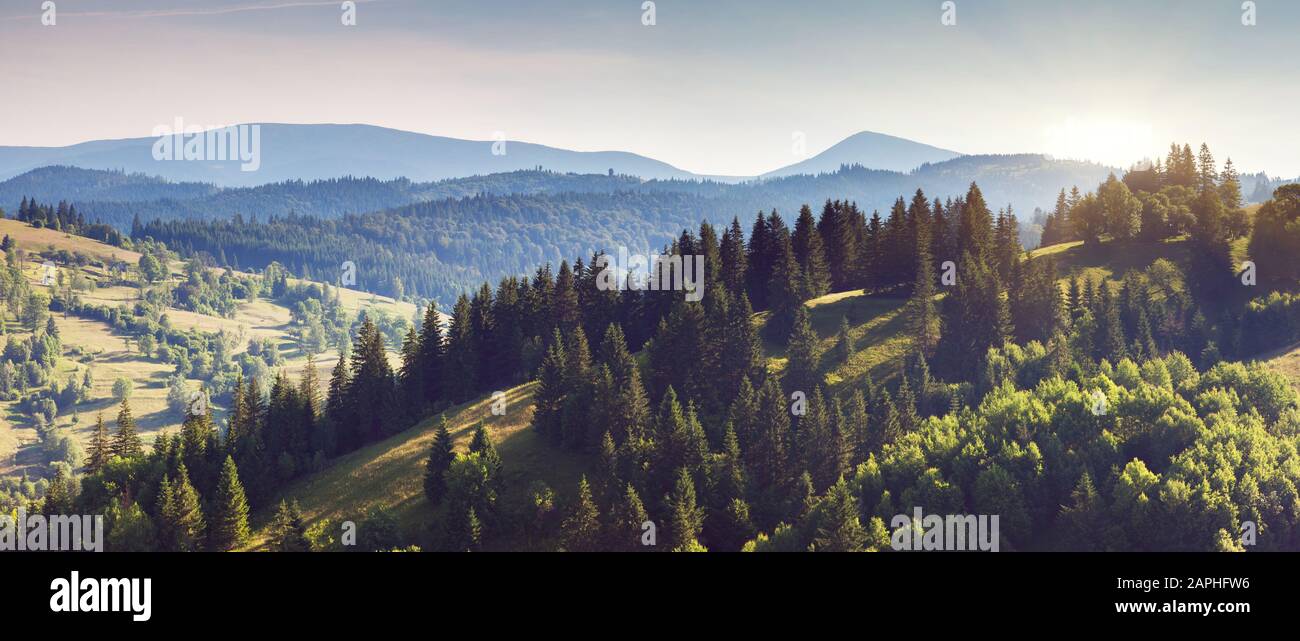 Fantastic green hills with blue sky. Carpathian, Ukraine, Europe ...