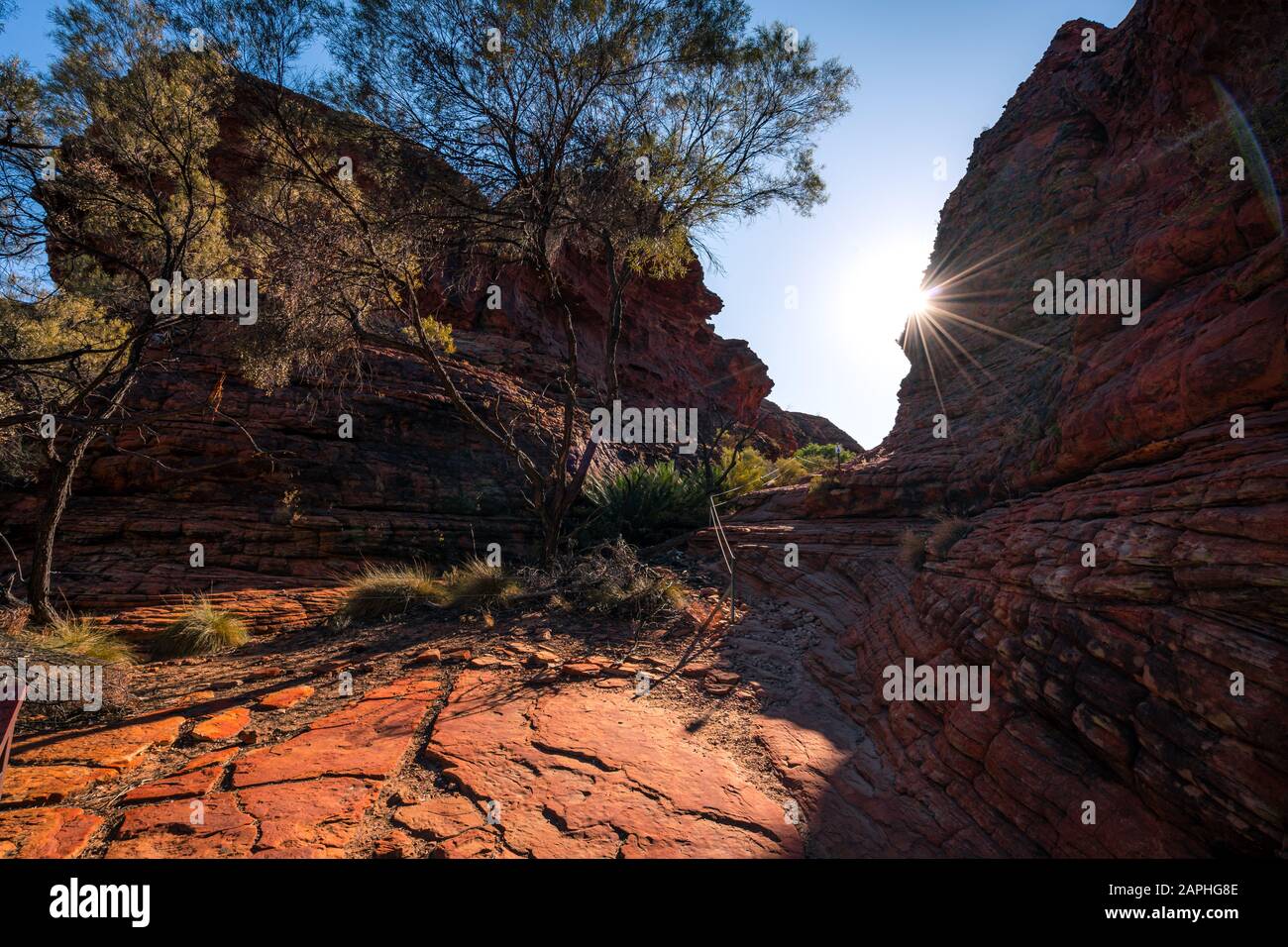 Wood rocks central coast hi-res stock photography and images - Alamy
