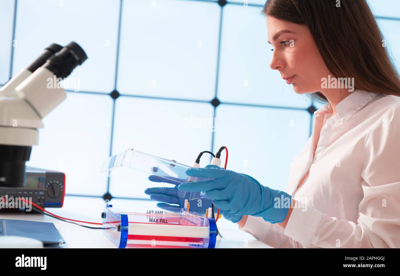 Loading Samples and Running an Agarose Gel for electrophoresis, Gel ...