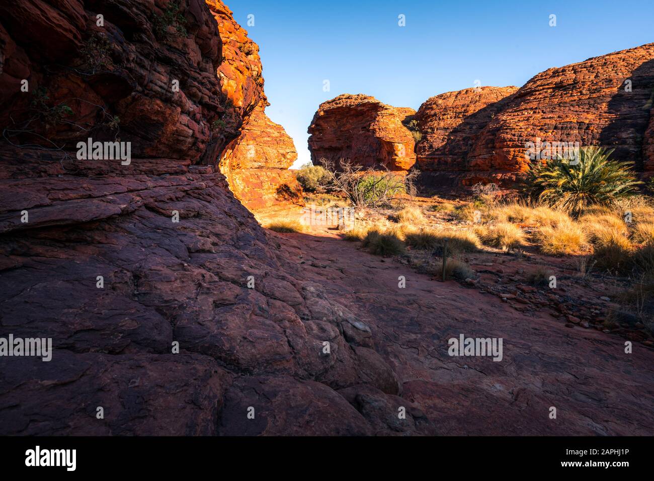 Outback landscape, Central Australia, Northern Territory Stock Photo ...