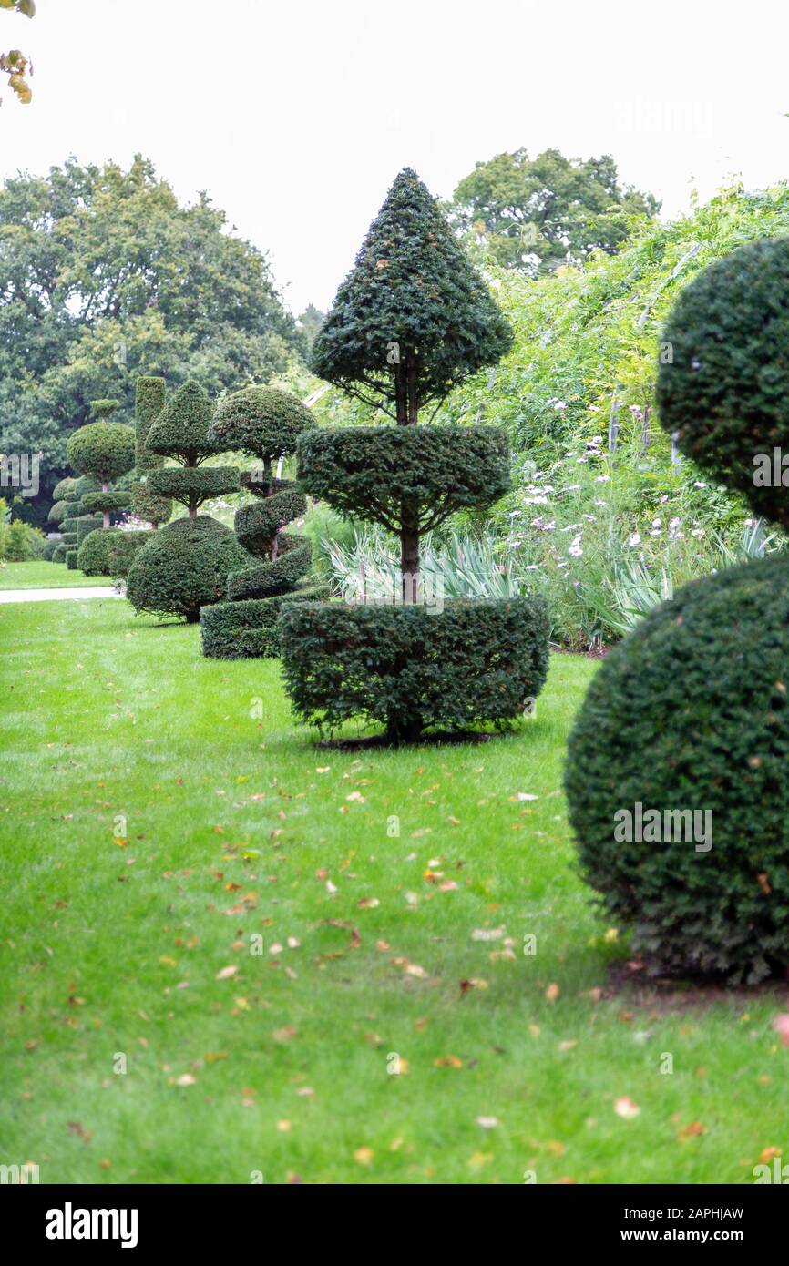 Topiary tree park hi-res stock photography and images - Alamy