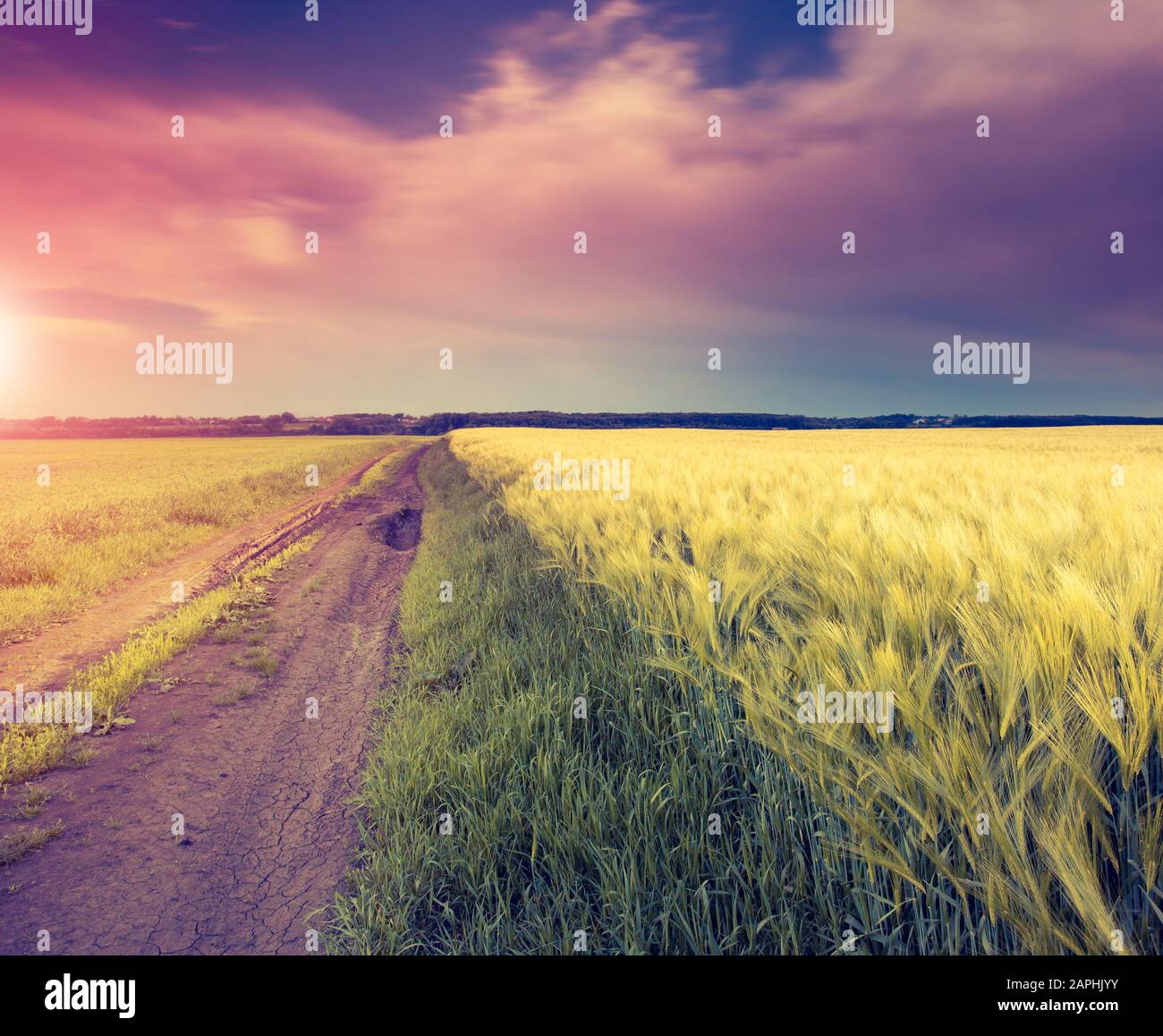 Fantastic field at the dramatic overcast sky. Retro filtered. Instagram ...