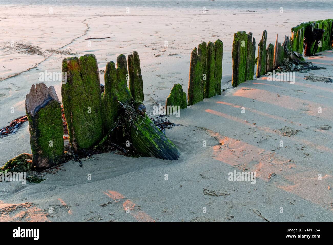decaying wooden wave break on a sandy beach Stock Photo - Alamy