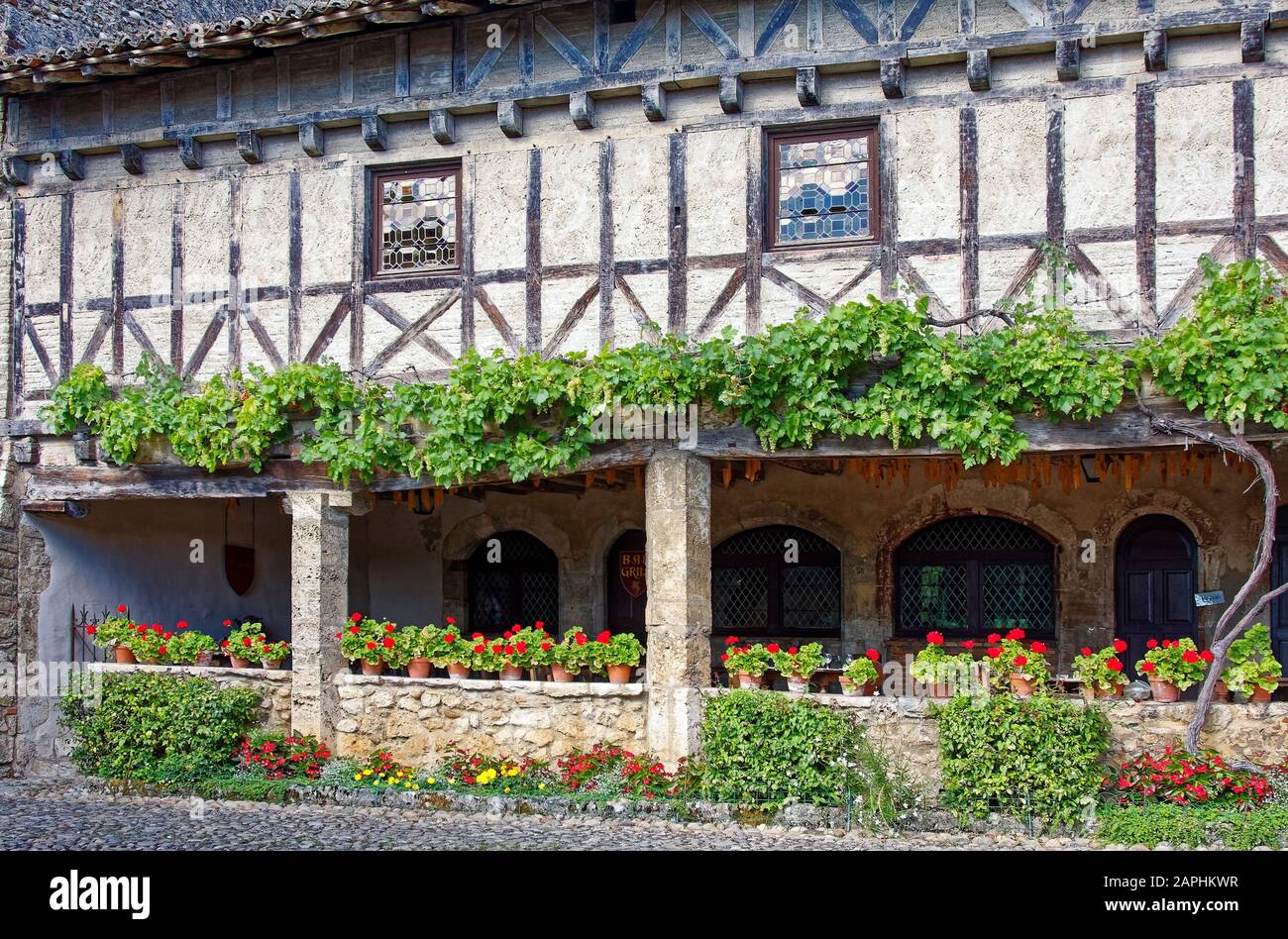 old half-timbered building, covered patio, leaded glass windows, potted ...