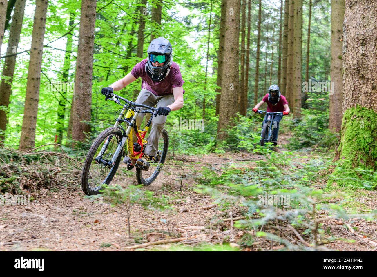 Mountainbike riders doing a courageous downhill on forest trails Stock ...