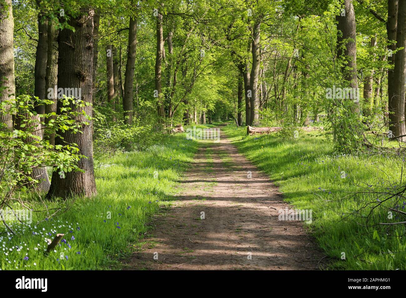 Guildford grass hi-res stock photography and images - Alamy