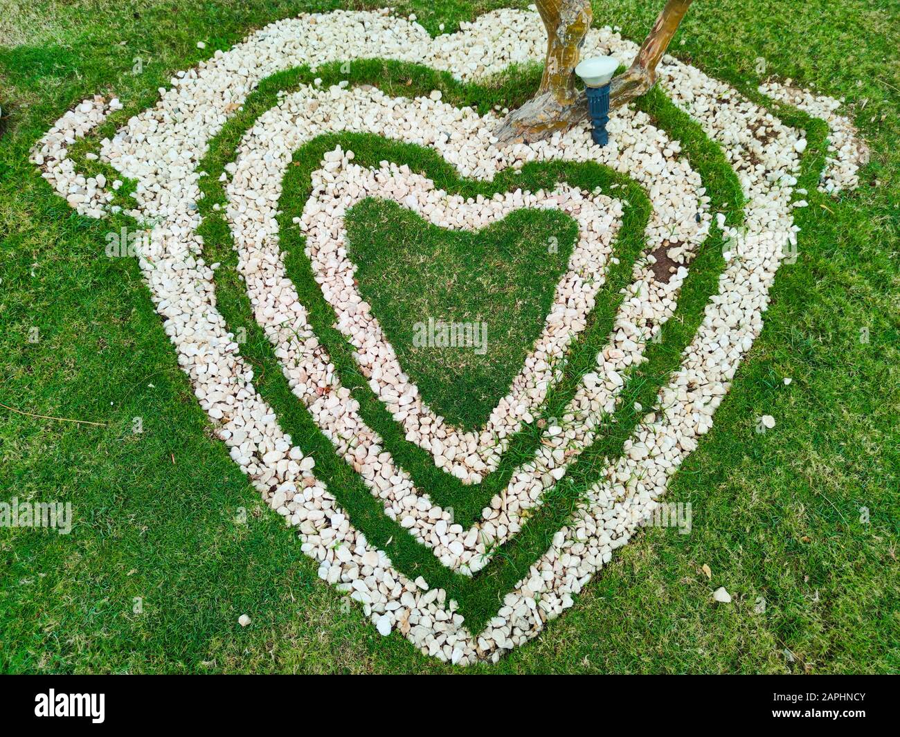 Top view of heart shape white stones on the grass for landscape design ...